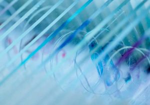 Tg3647 a slow progressing model of chronic arthritis - Biomedcode