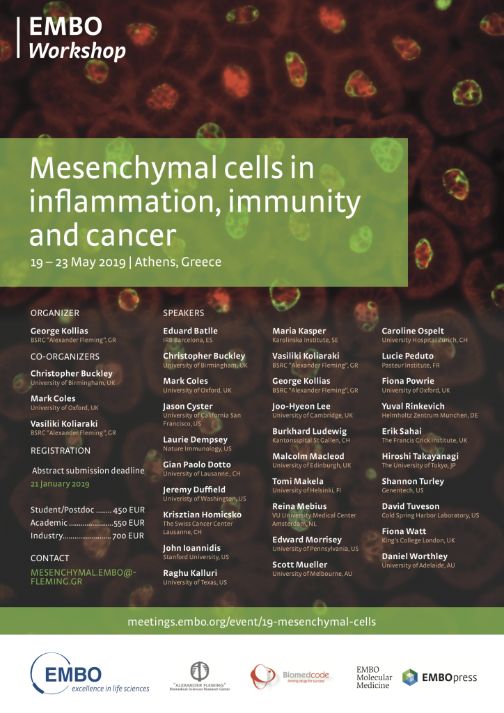 EMBO workshop: Mesenchymal cells in inflammation, immunity and cancer, 19 – 23 May 2019 | Athens ...
