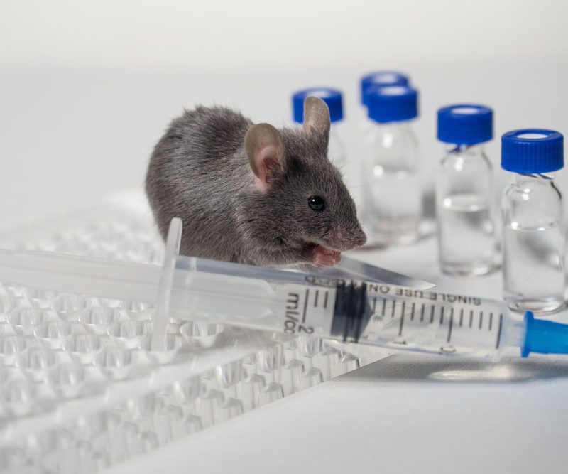 Blog Left Image - Biomedcode