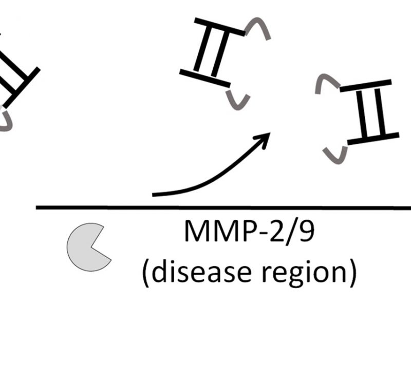 Blog Left Image - Biomedcode