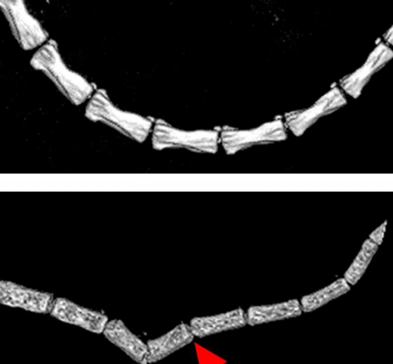 Blog Left Image - Biomedcode