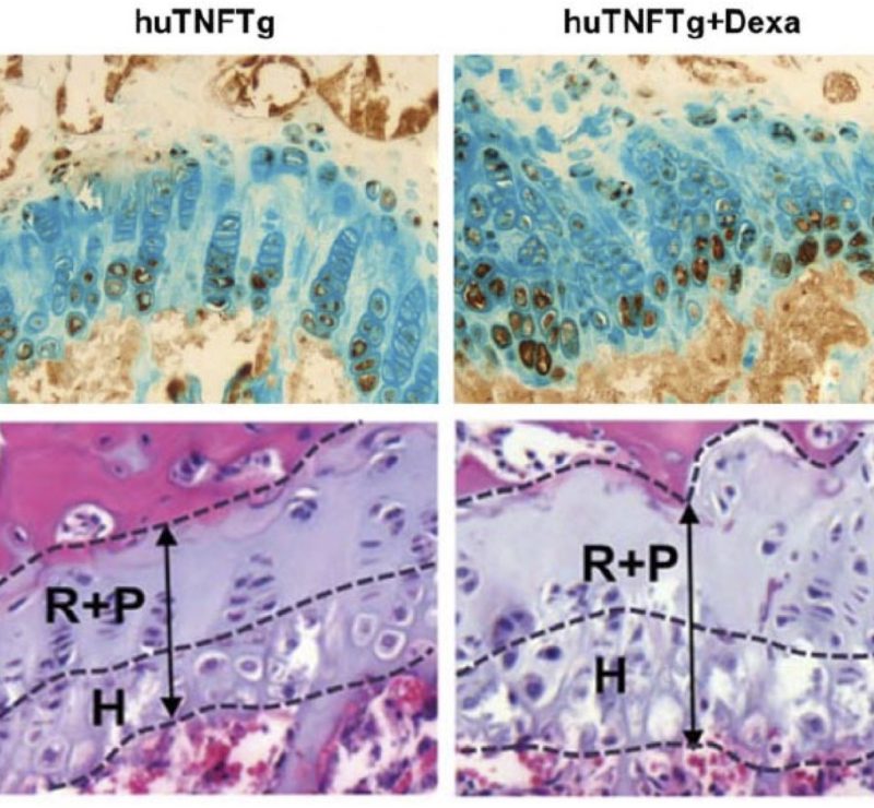 Blog Left Image - Biomedcode