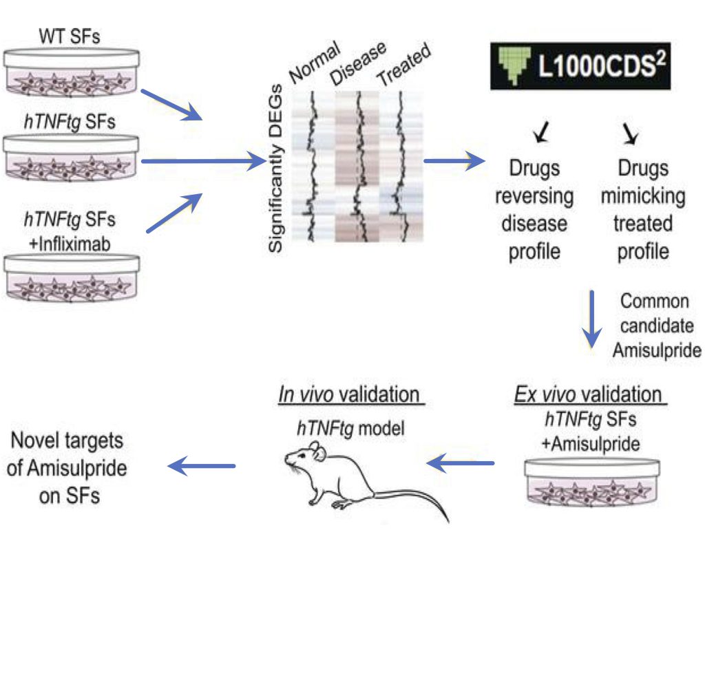 Publications Archives - Biomedcode