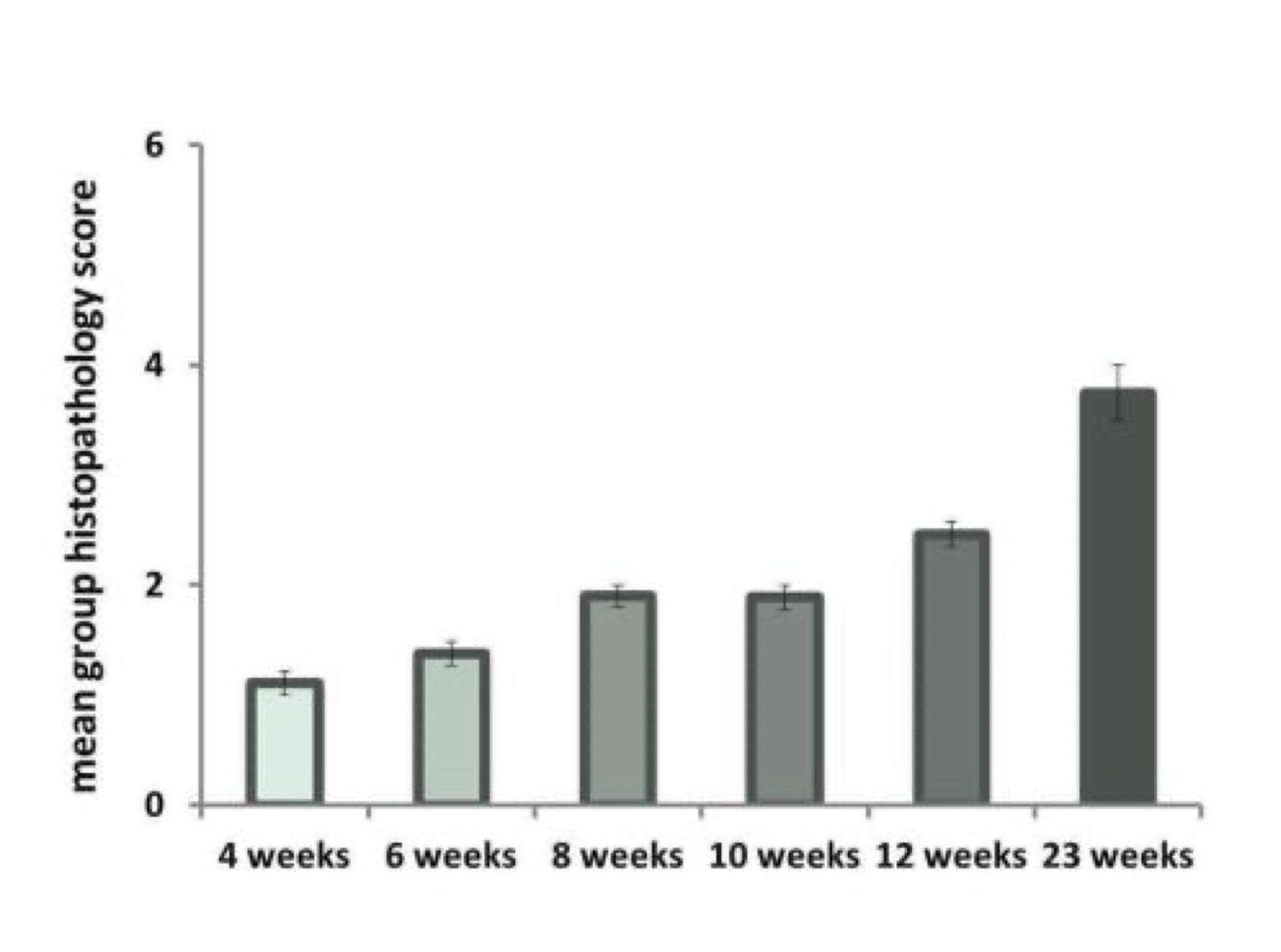 Tg3647 a slow progressing model of chronic arthritis - Biomedcode
