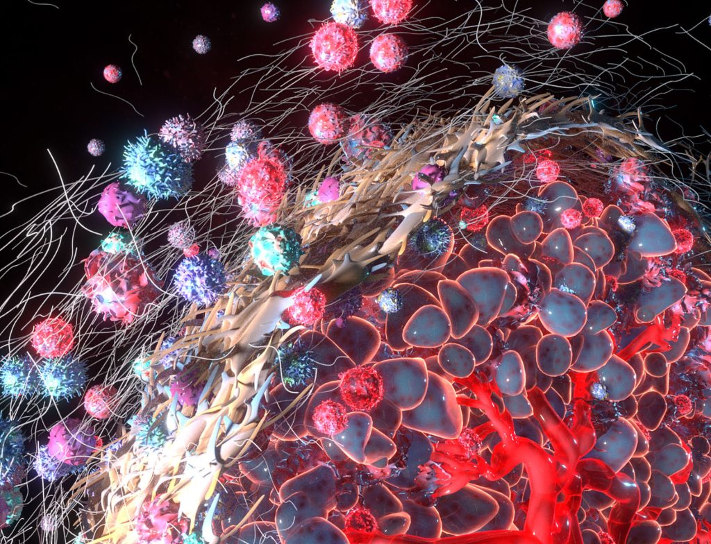 Could anti-fibrotic drugs have a use also in cancer therapy? - Biomedcode