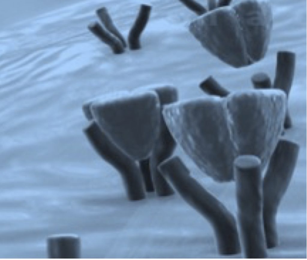 Targeting TNFR1 to cure chronic inflammatory conditions - Biomedcode