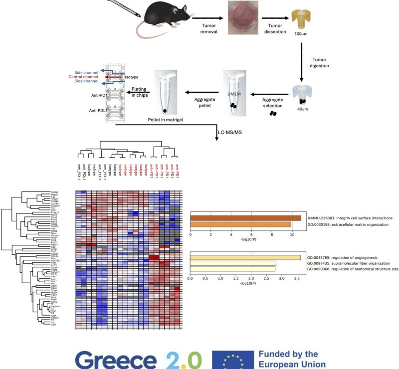 Blog Left Image - Biomedcode